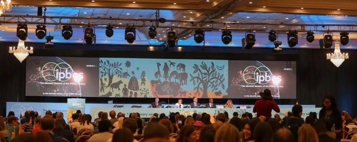 El IPBES publica dos informes para transformar la forma en que nos ...