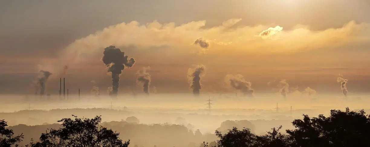 Qué es el exposoma o cómo el entorno influye en tu salud | CREAF