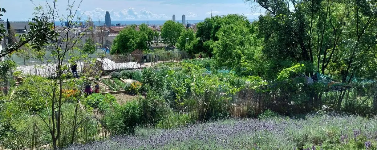 ¿Cómo influye el cuidado de un huerto en la biodiversidad urbana? La ...