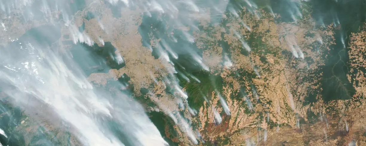 Smoke from wildfires provides an unexpected fertilizer to the Amazon ...