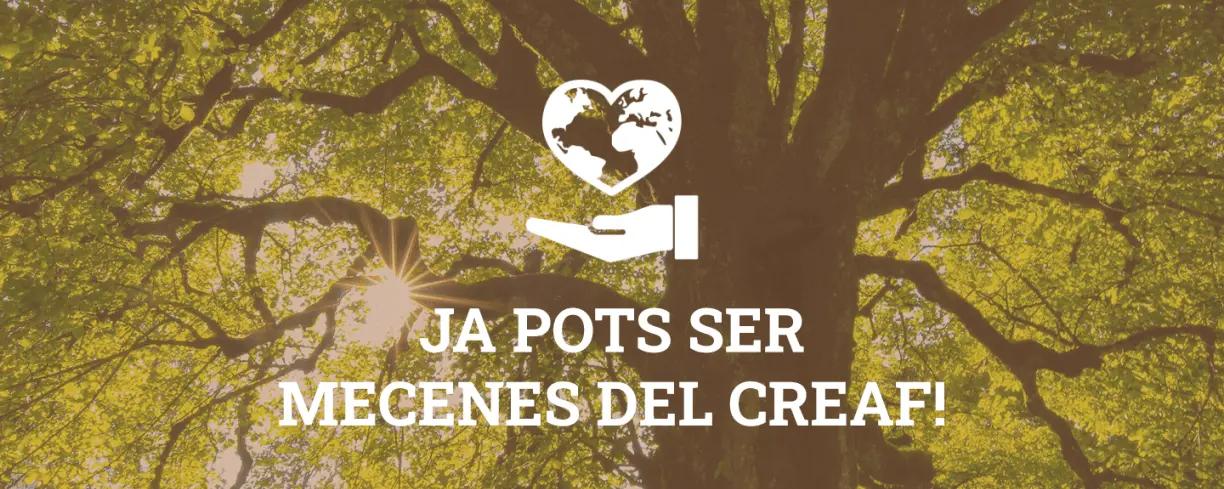 Collaborate | CREAF